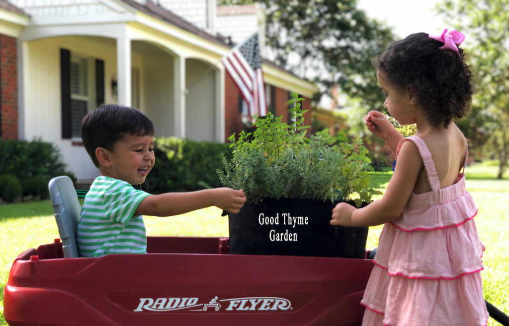 Kids Out for Summer: Ideas & Activities To Get Your Kids Outside - THE SAGE