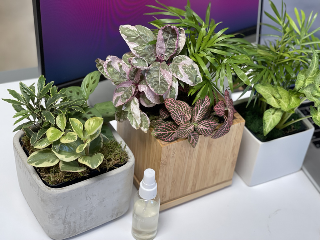 Springify Your Office | Get Your Office Set Up Ready For Spring - THE SAGE