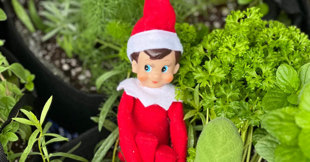 Santa’s Helper Needs a Little Help | The Elf on The Shelf