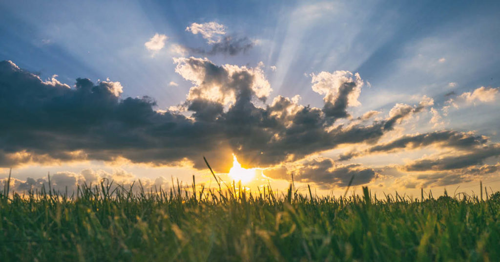 The Power of the Sun | Why Do We Love The Sun? - THE SAGE