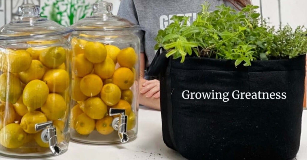 Lemon To Lemonade | An Interview With Donna Letier - THE SAGE