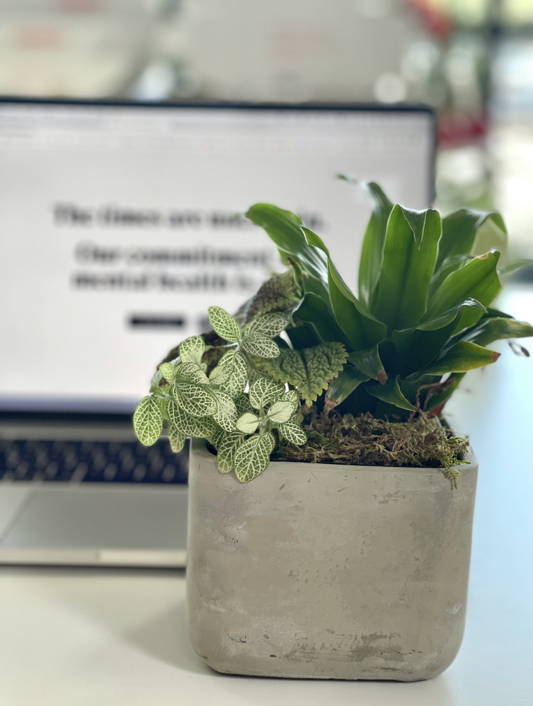 The Mental and Physical Benefits of Desktop Gardens - THE SAGE