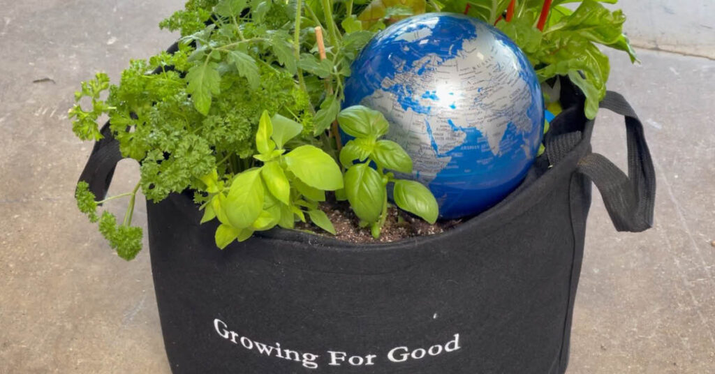 Earth Day: Planting Something That Grows - THE SAGE