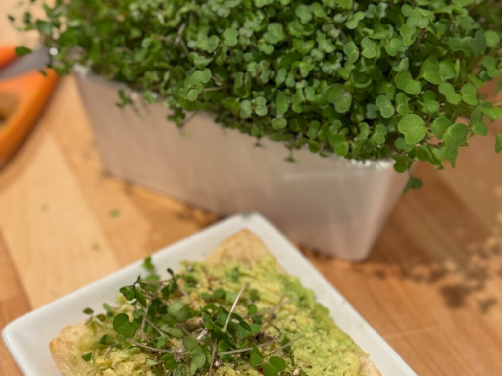 Brighten Up Your Favorite Brunch Recipes with Fresh Microgreens - THE SAGE