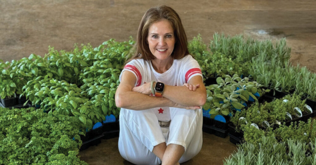 If You Want to Soar, Stop for Gas - THE SAGE