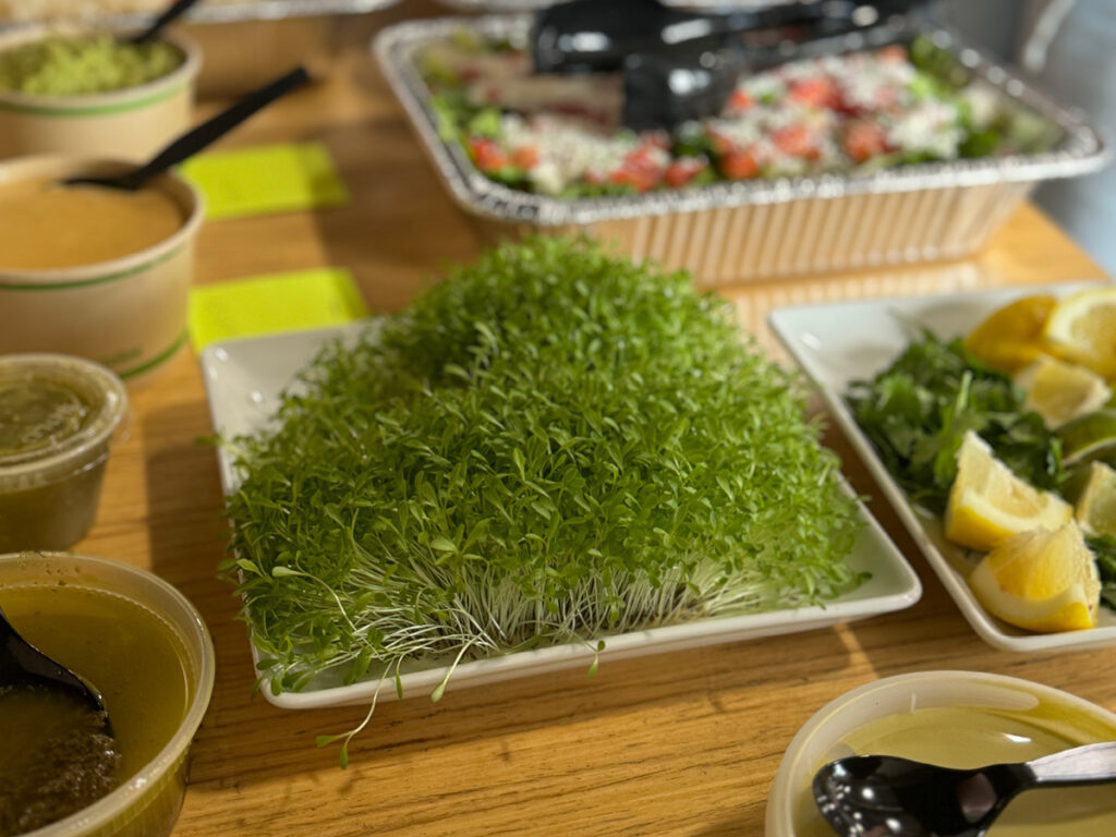 Microgreen Recipes With Gardenuity's Seed Collections - THE SAGE
