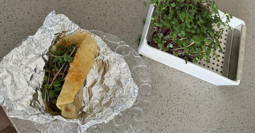 Taco Toppings Microgreen Recipes - THE SAGE