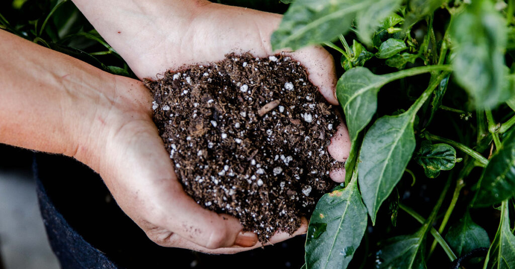 Refresh Your Soil and Soul for Fall - THE SAGE