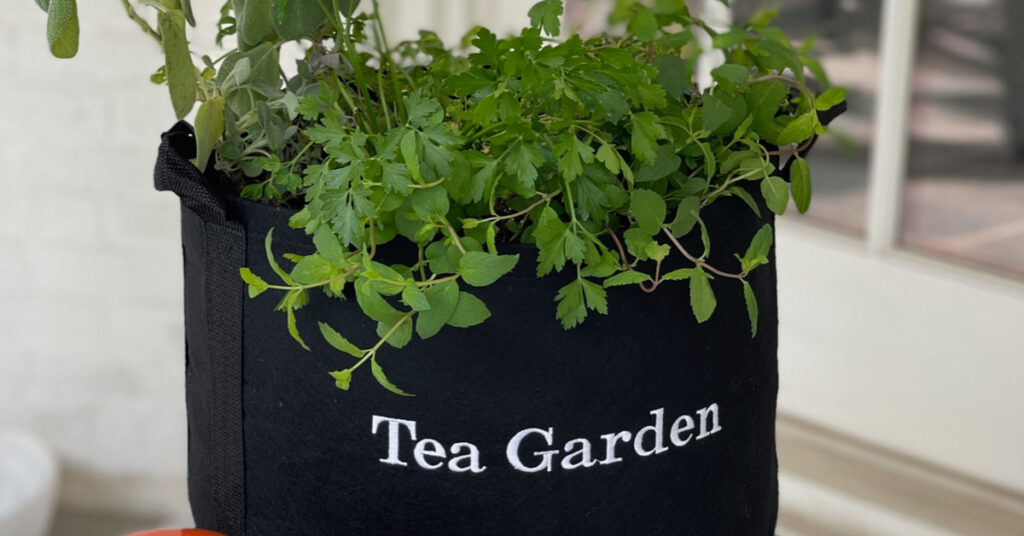 Brew Your Way to Better Sleep: How a Tea Garden Can Help You Relax and ...