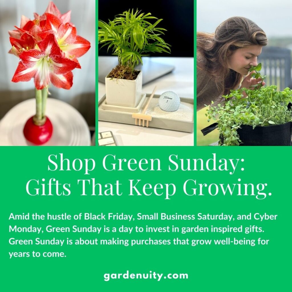 Introducing "Green Sunday": A New Holiday Shopping Tradition Rooted in ...