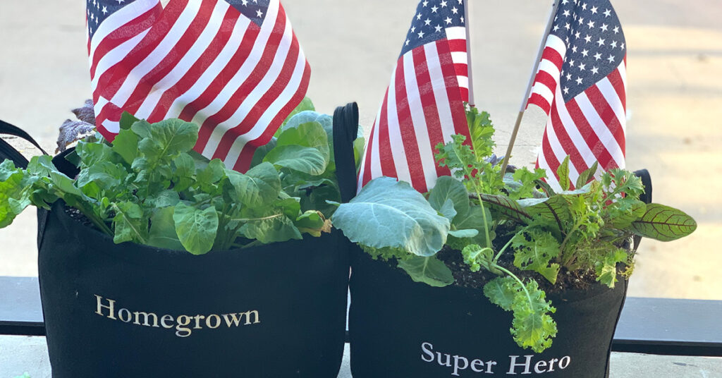 Honoring Veterans Through Gardening: A Healing Connection with Nature ...