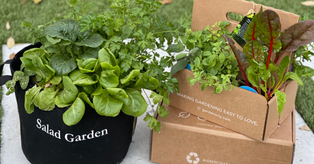 10 Tips for Early Spring Container Gardening Success - THE SAGE