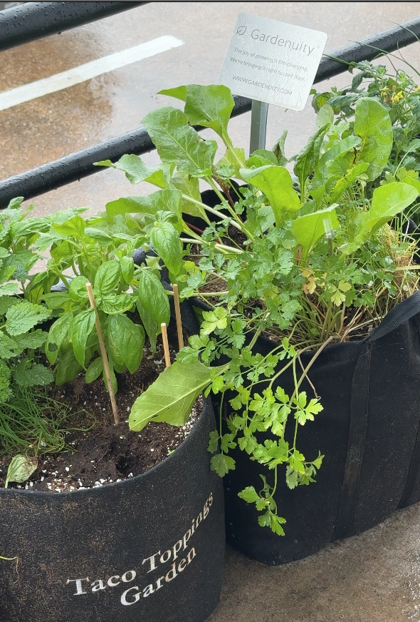 Spring Rain and Gardening: How to Turn April Showers Into a Garden ...