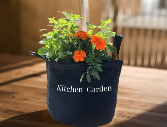 How a Morning Garden Ritual Can Boost Mental Health (and Help Your ...