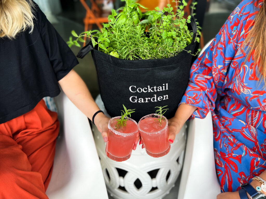 Cocktails Inspired by Summer: Garden-to-Glass Ideas That Refresh - THE SAGE